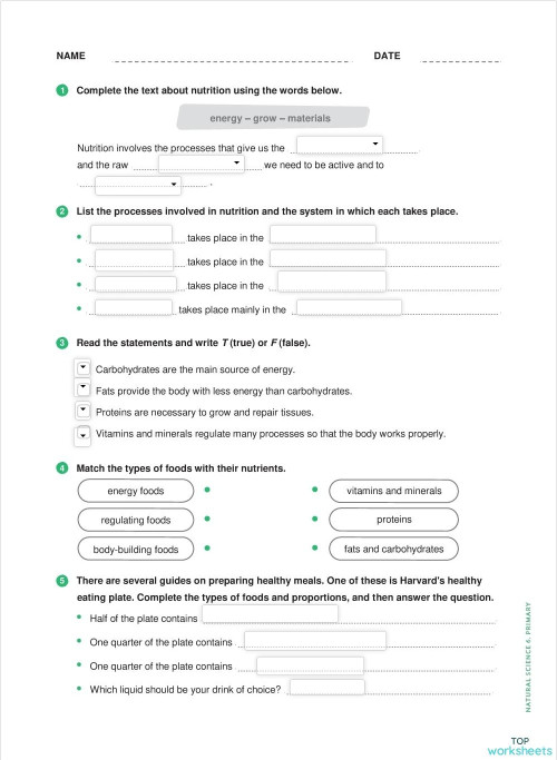 Unit 1 6th grade Test Science. Interactive worksheet | TopWorksheets