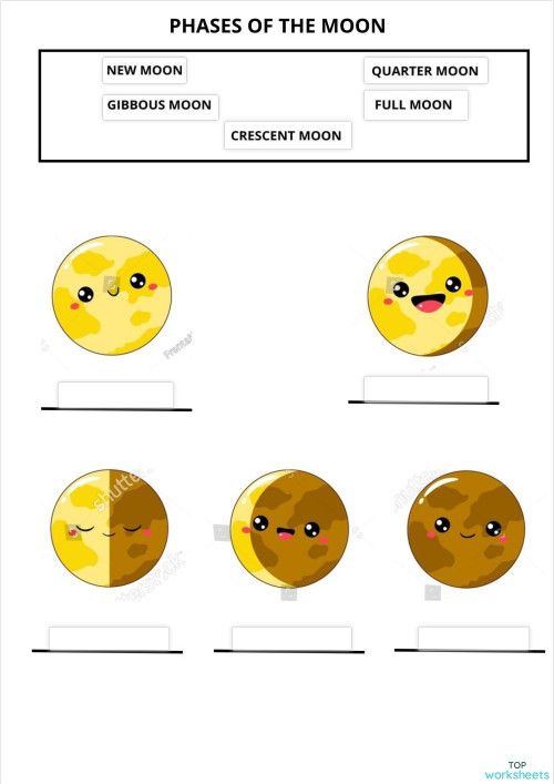 Moon Phases. Interactive worksheet | TopWorksheets