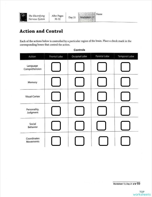 Worksheet 13: Action and Control Pg 69. Interactive worksheet ...