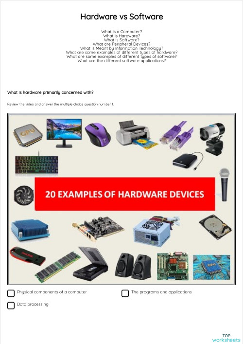 Hardware vs Software. Interactive worksheet | TopWorksheets