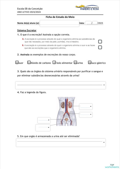 Ficha Estudo do Meio_2. Ficha interativa | TopWorksheets