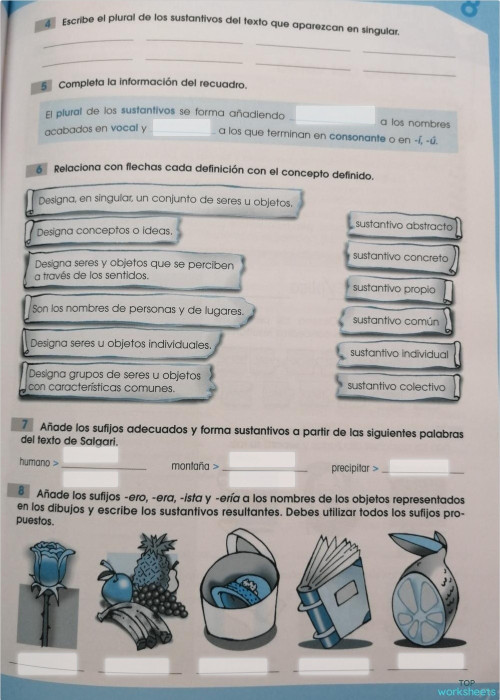 Sustantivos: fichas interactivas y ejercicios online | TopWorksheets