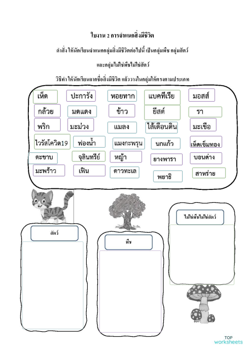 ใบงานวิทย์ป4 1 ใบงานเชิงโต้ตอบ Topworksheets
