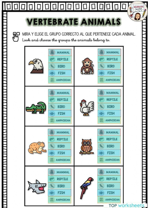 Vertebrate animals. Interactive worksheet | TopWorksheets