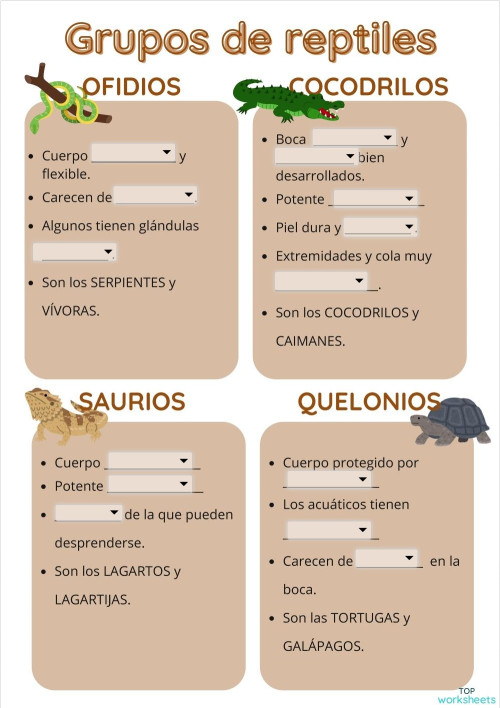 grupos de reptiles. Ficha interactiva | TopWorksheets