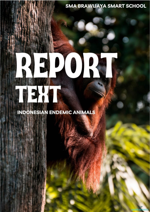 Meeting 2-Report Text-Simple Present Tense-X5. Interactive worksheet ...