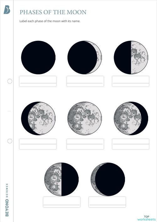 LABEL PHASES OF THE MOON. Interactive worksheet | TopWorksheets