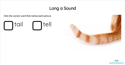 Words with Long a Sound. Interactive worksheet | TopWorksheets
