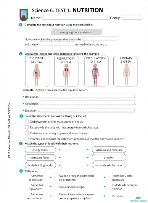The sense of taste. Interactive worksheet | TopWorksheets