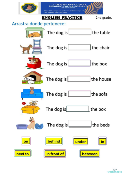 ENGLISH PRACTICE IV 2º. Ficha interactiva | TopWorksheets