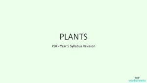 Year 6 Science | Plants. Interactive worksheet | TopWorksheets