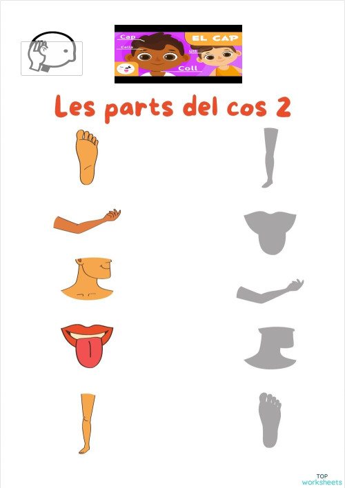 Les parts del cos 2. Fitxa interactiva | TopWorksheets