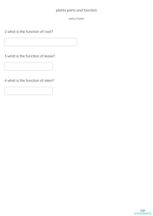 plants parts and function. Interactive worksheet | TopWorksheets