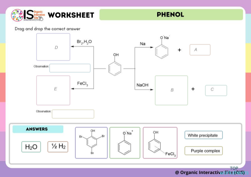 PHENOL COMPOUND. Interactive worksheet | TopWorksheets