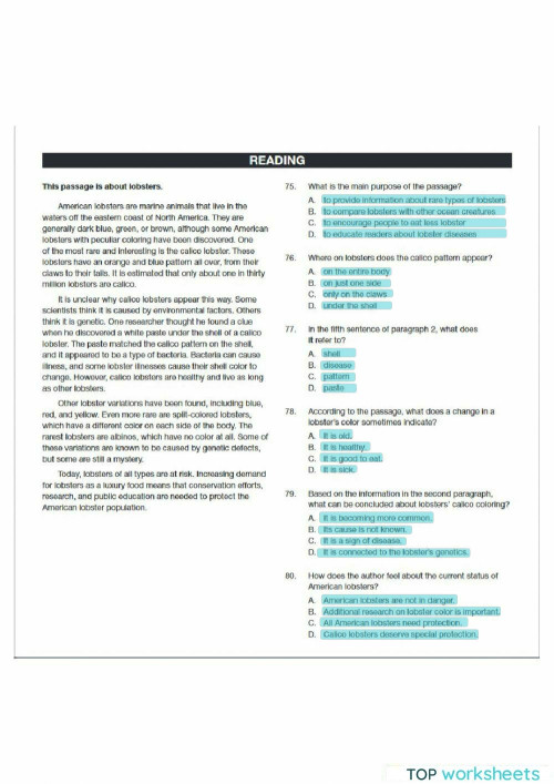 Ecce sample 2021 reading. Interactive worksheet | TopWorksheets