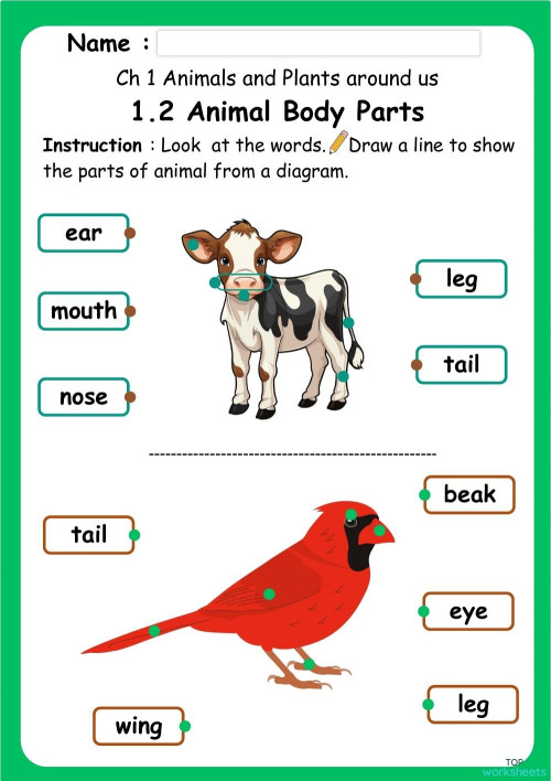 P1_Animal body Parts. Interactive worksheet | TopWorksheets