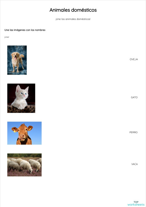 Animales domésticos. Ficha interactiva | TopWorksheets