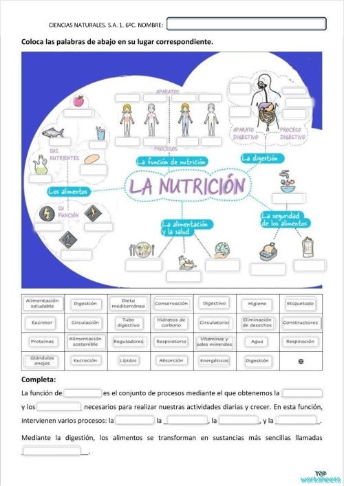 CONTROL CIENCIAS NATURALES 6ºC S.A. 1. LA IMPORTANCIA DE LA NUTRICIÓN ...