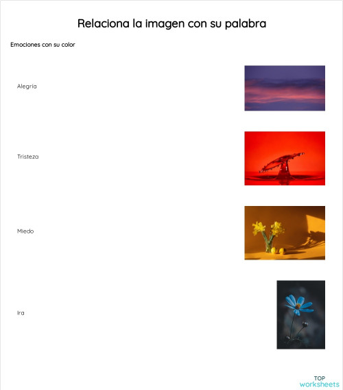 Relaciona la imagen con su palabra. Ficha interactiva | TopWorksheets
