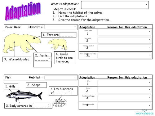 Year 5 - Adaptations. Interactive worksheet | TopWorksheets