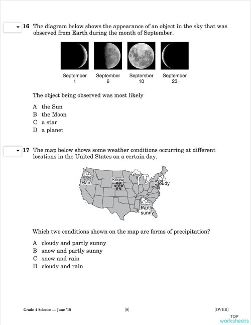 Science Practice 3. Part 2. Interactive worksheet | TopWorksheets