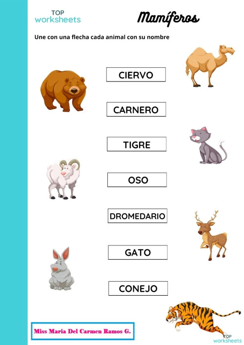 MAMÍFEROS.. Ficha interactiva | TopWorksheets