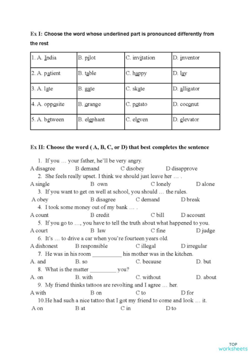 Test Class T6B1. Interactive worksheet | TopWorksheets