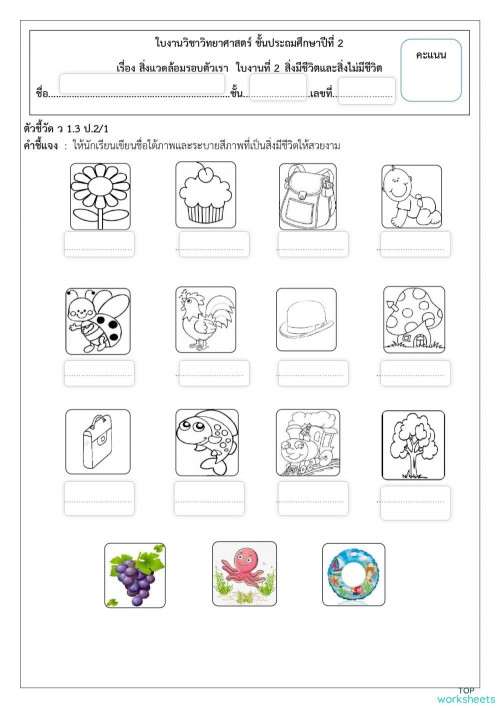 ใบงาน2 วิทยาศาสตร์ป 2 ใบงานเชิงโต้ตอบ Topworksheets