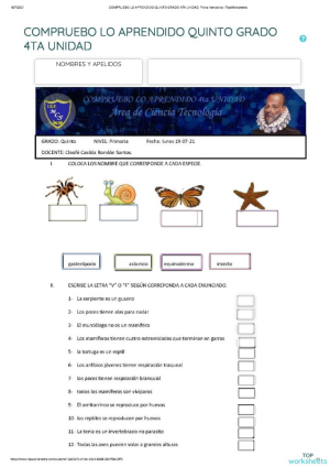 Los animales mamíferos . Ficha interactiva | TopWorksheets