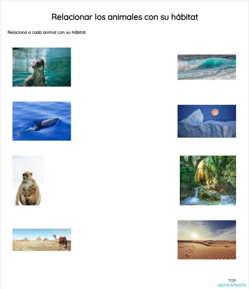 Relacionar los animales con su hábitat. Ficha interactiva | TopWorksheets