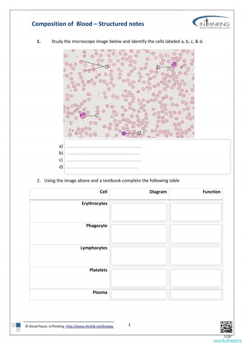 Blood Components. Interactive worksheet | TopWorksheets