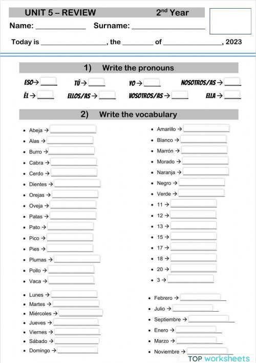 Other: interactive worksheets and online exercises | TopWorksheets