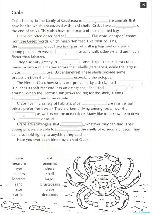 Unit 19 Crabs. Interactive worksheet | TopWorksheets