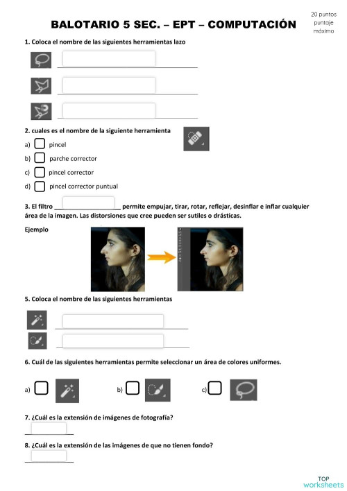 BALOTARIO 5to SEC - EPT - COMPUTACIÓN. Ficha interactiva | TopWorksheets