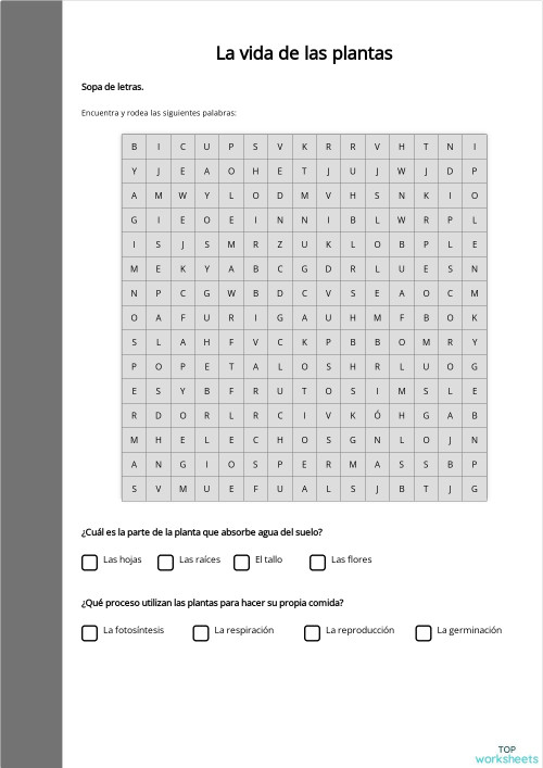 La vida de las plantas. Ficha interactiva | TopWorksheets