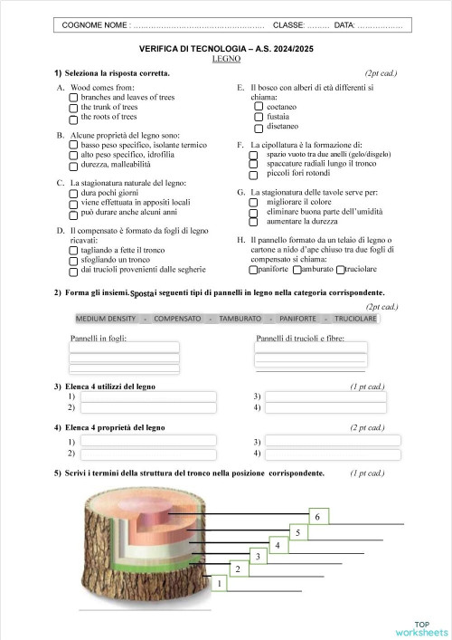 Verifica legno e carta - IC - 2024/2025. Scheda interattiva | TopWorksheets