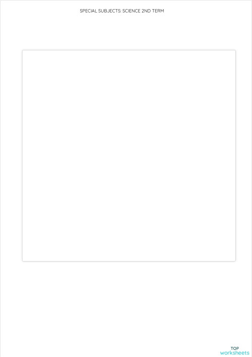 Test Special subject Science. Interactive worksheet | TopWorksheets