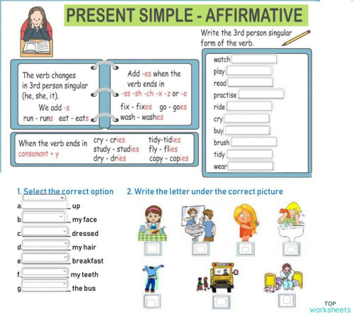 Simple present. Interactive worksheet | TopWorksheets