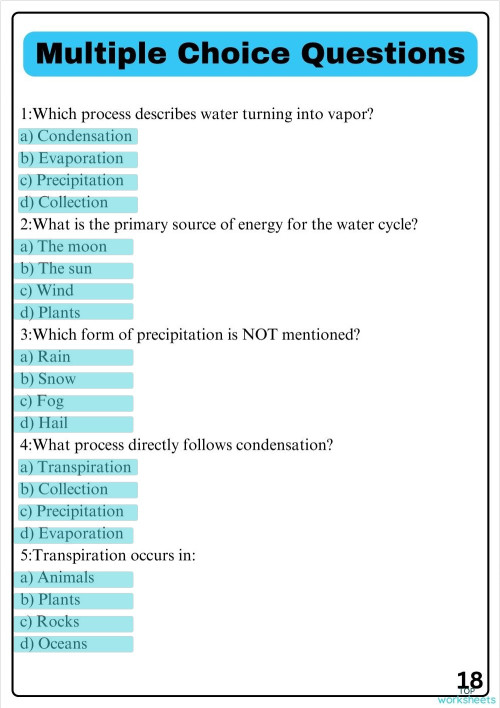 The Water Cycle Multiple Choice and Fill in the blanks. Interactive ...