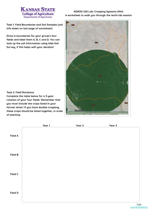 Unit 5 - Weed part 1. Interactive worksheet | TopWorksheets
