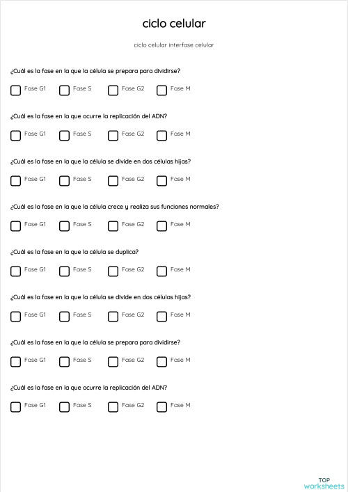 ciclo celular. Ficha interactiva | TopWorksheets