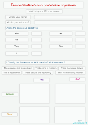 Demonstratives and possessive adjectives INTRODUCTION. Ficha ...