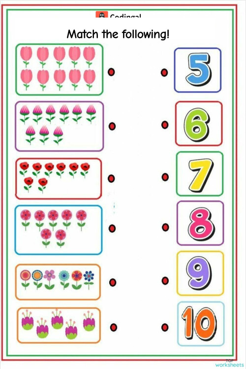 M_G01M01L01_WA01_Count and Match the correct!. Interactive worksheet | TopWorksheets