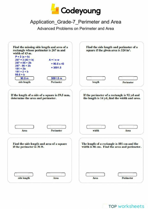 Advanced Problems on Perimeter and Area Application. Interactive worksheet | TopWorksheets