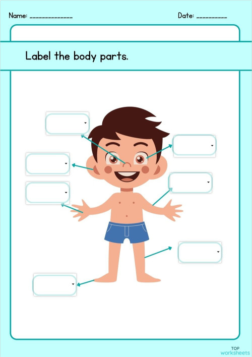 Body Parts. Interactive worksheet | TopWorksheets