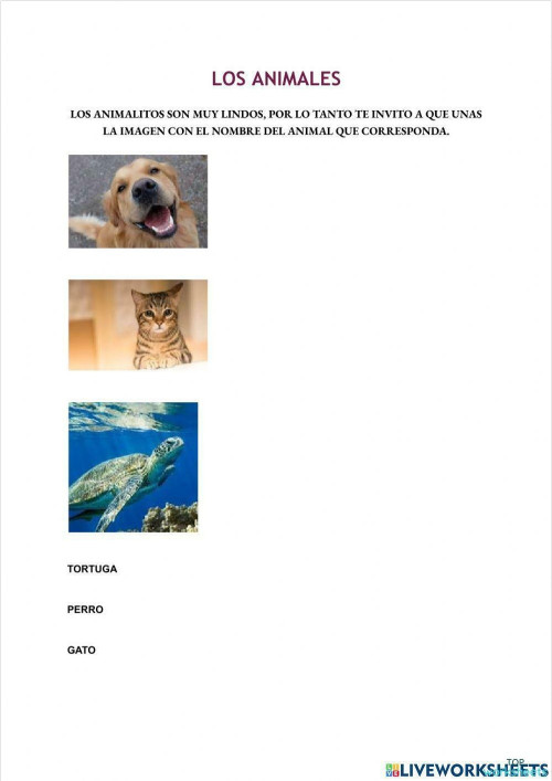 Los Animales. Ficha interactiva | TopWorksheets
