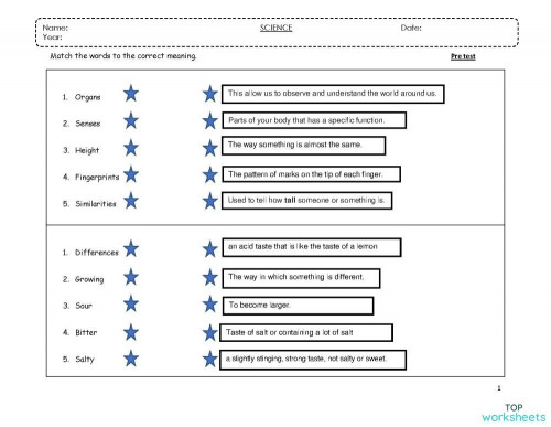 VOCAB TEST YEAR 1. Interactive worksheet | TopWorksheets