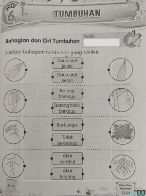 suaikan bahagian tumbuhan. Interactive worksheet | TopWorksheets