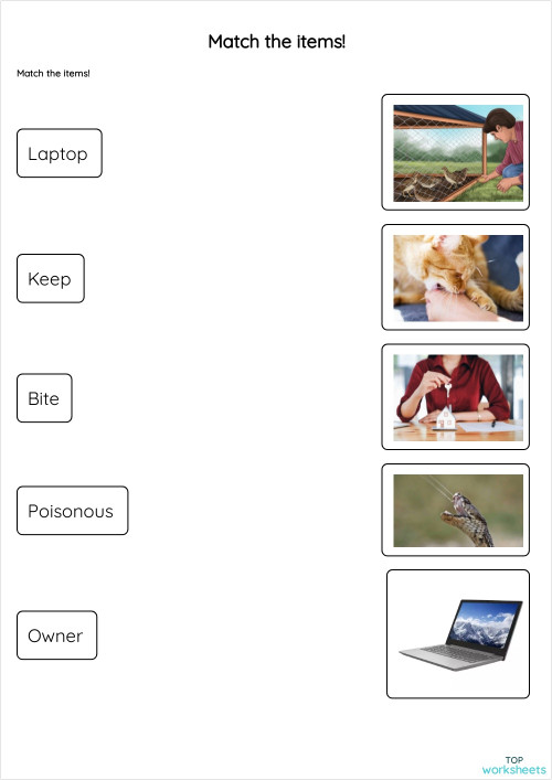 Match the items!. Interactive worksheet | TopWorksheets