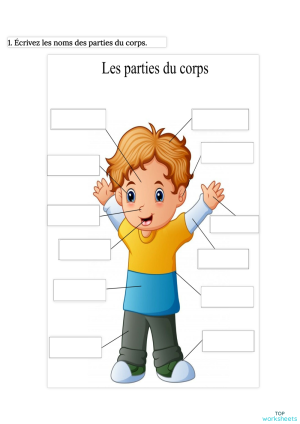 Les parties du corps. Fiche interactive | TopWorksheets